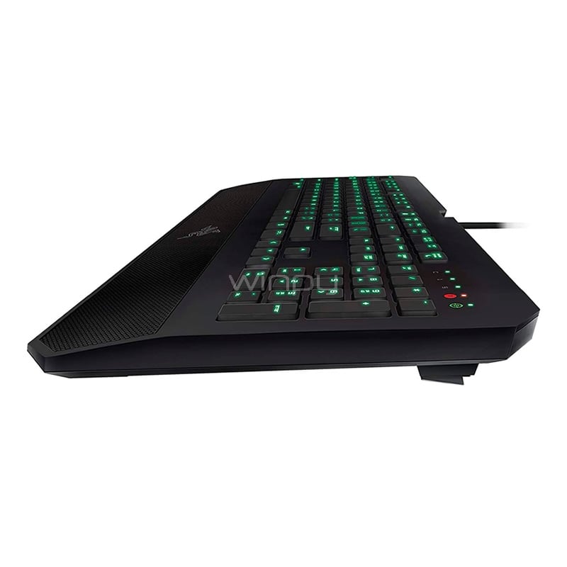 Teclado Gamer Razer DeathStalker Expert - RZ03-00800100-R3U1 - Winpy.cl