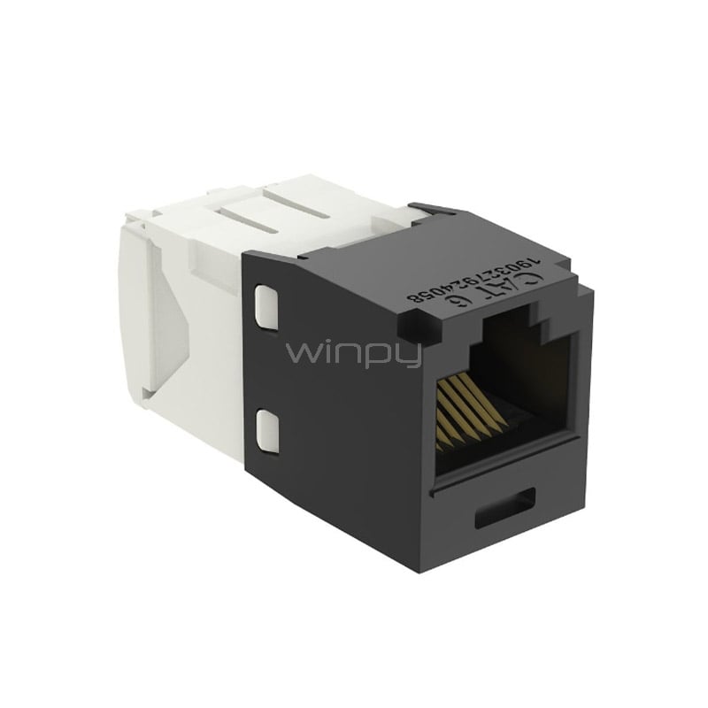 Módulo Conector Panduit Mini-Com RJ45 - CJ688TGBL - Winpy.cl