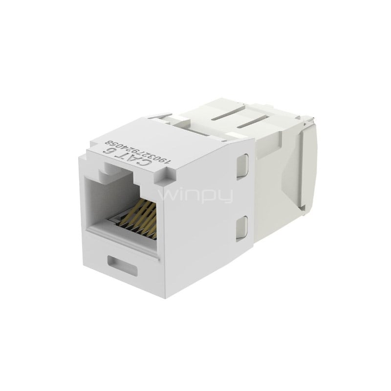 Módulo Conector Panduit Mini-Com RJ45 - CJ688TGWH - Winpy.cl