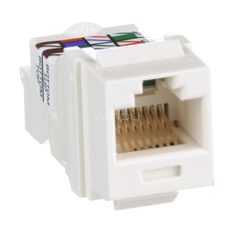 Módulo RJ-45 Panduit NetKey Cat 6 - NK6TMIW - Winpy.cl