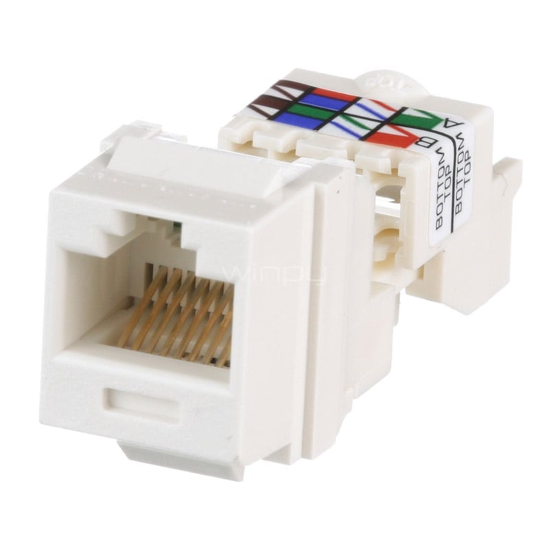 Módulo RJ-45 Panduit NetKey Cat 6 - NK6TMIW - Winpy.cl