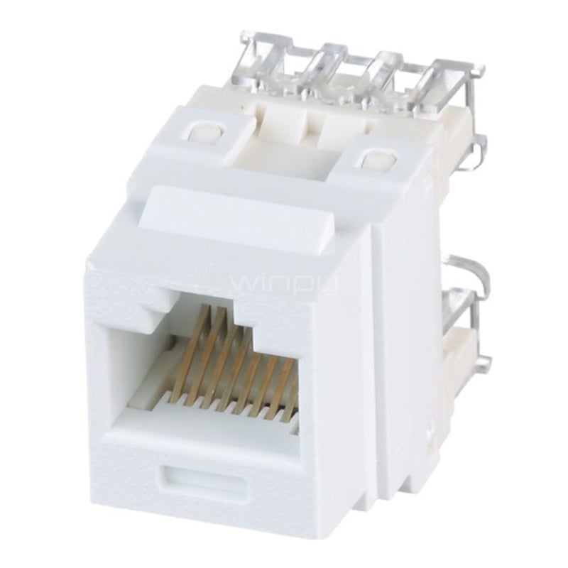 Módulo Conector Panduit Keystone RJ45 - NK688MWH - Winpy.cl