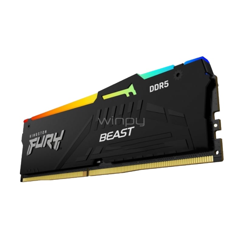 Memoria RAM Kingston FURY Beast Black RGB de 16GB - KF552C40BBA-16 - Winpy.cl