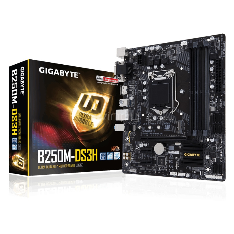 Placa Madre GigaByte B250M-DS3H - GA-B250M-DS3H - Winpy.cl
