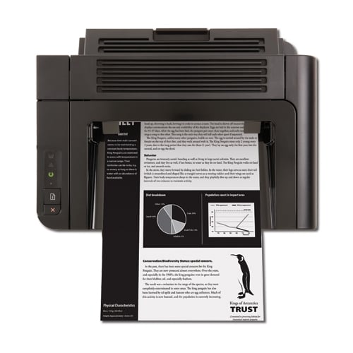 HP P1606dn CE749A LaserJet Pro - CE749A - Winpy.cl